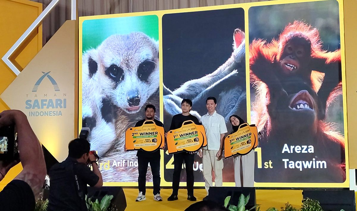 Capai Lebih Dari 8.000 Peserta, Ini Dia Pemenang International Photo ...